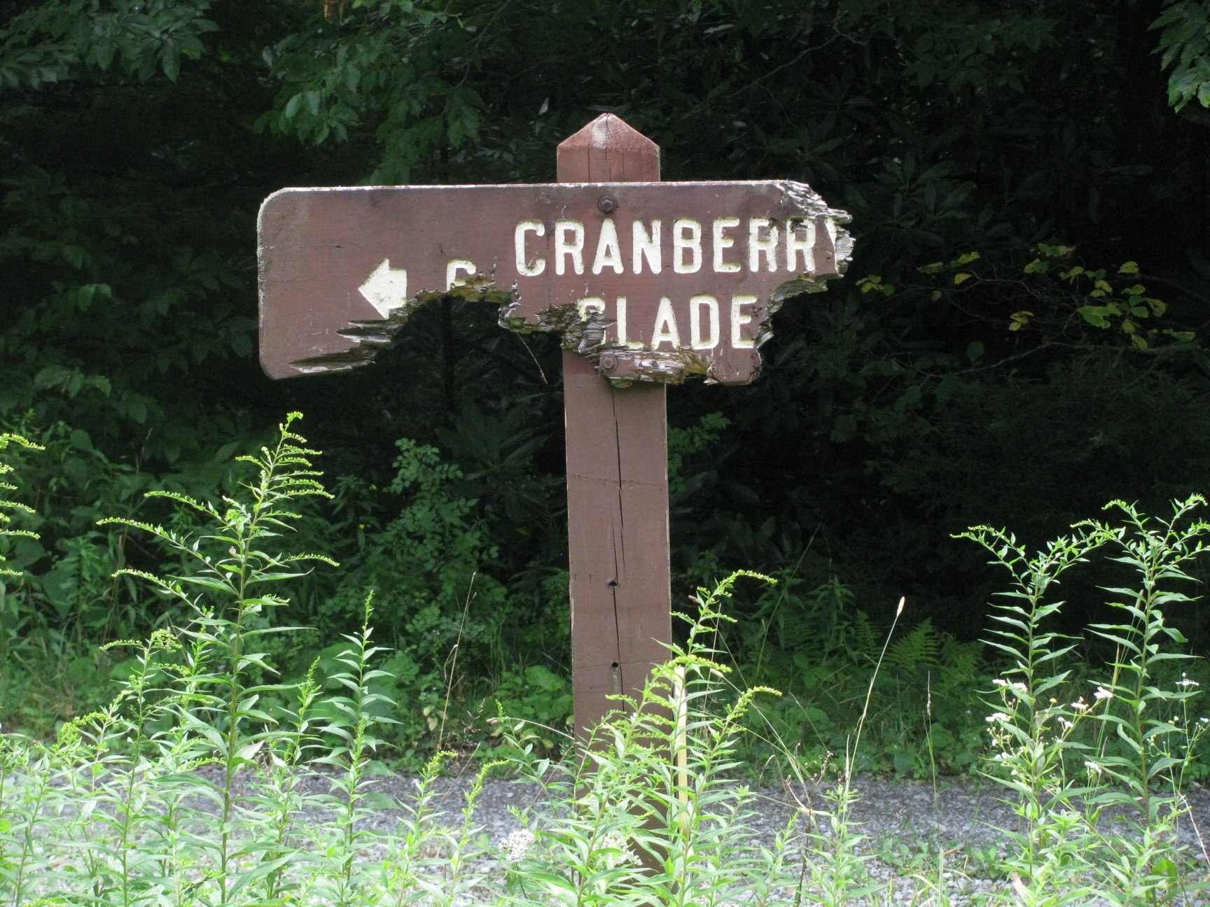 The birthplace of rivers floods – AMY MATHEWS AMOS